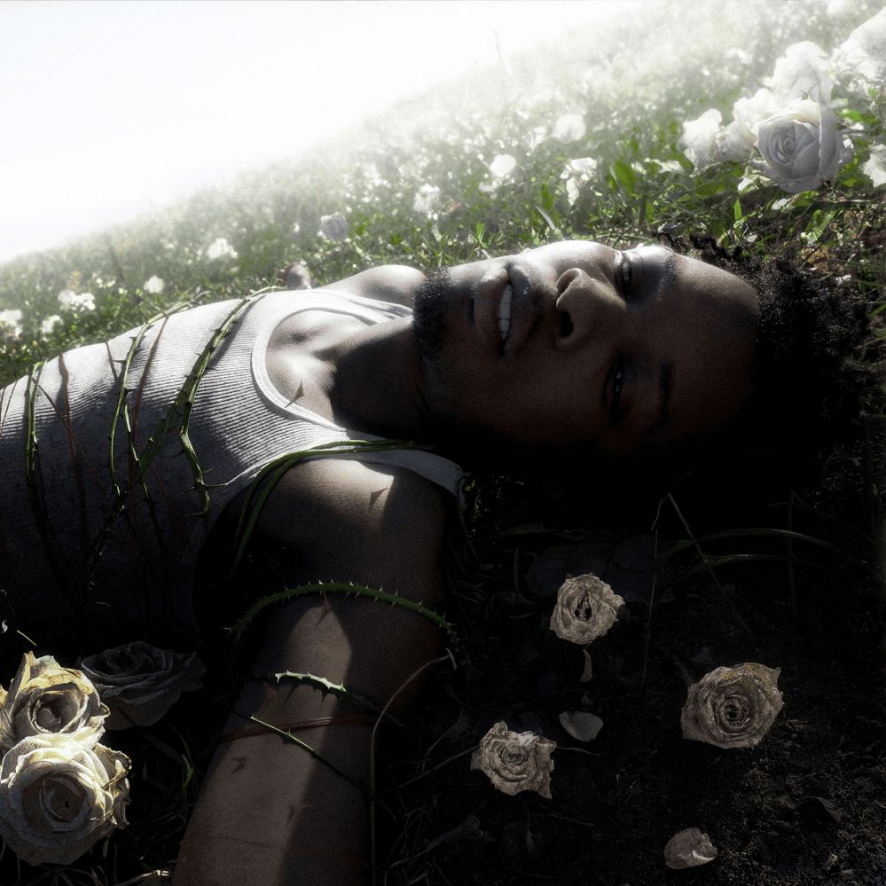 Bambi – TRAP OR DIE | kiedyplyta.pl